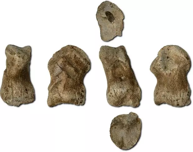 Neandertalların ən qədim sümük zərgərliyinə baxın: 51 min il 46742_1