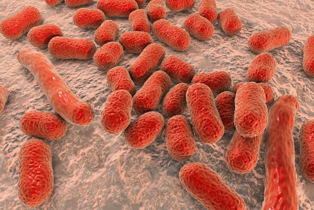 Élmuwan parantos ngahasilkeun cara pikeun merangan superbugs tahan antibiotik