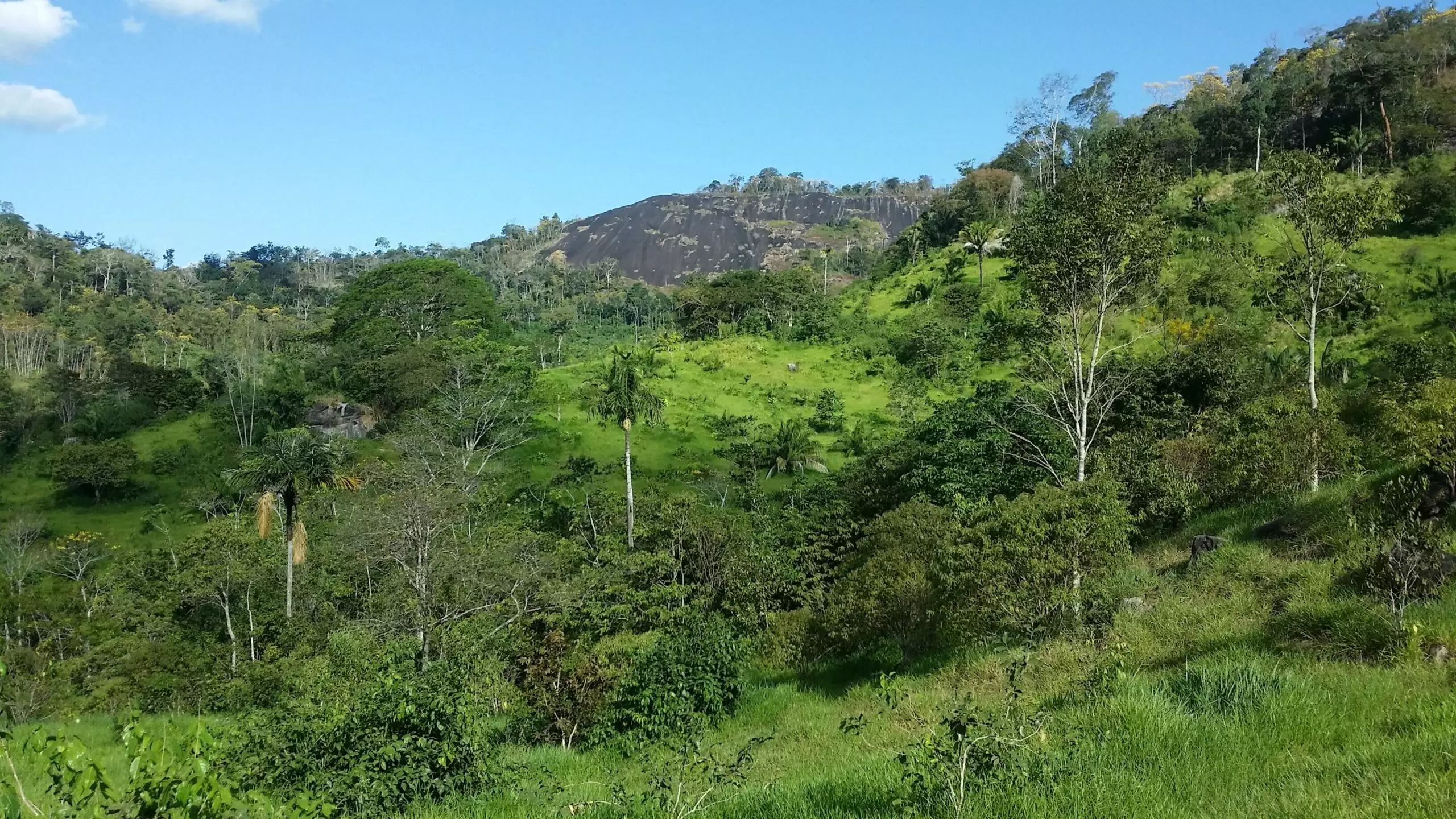 Akankah hutan yang dipulihkan menyelamatkan Amazon? Pihak berwenang Brasil tidak meninggalkan kesempatan 47880_1