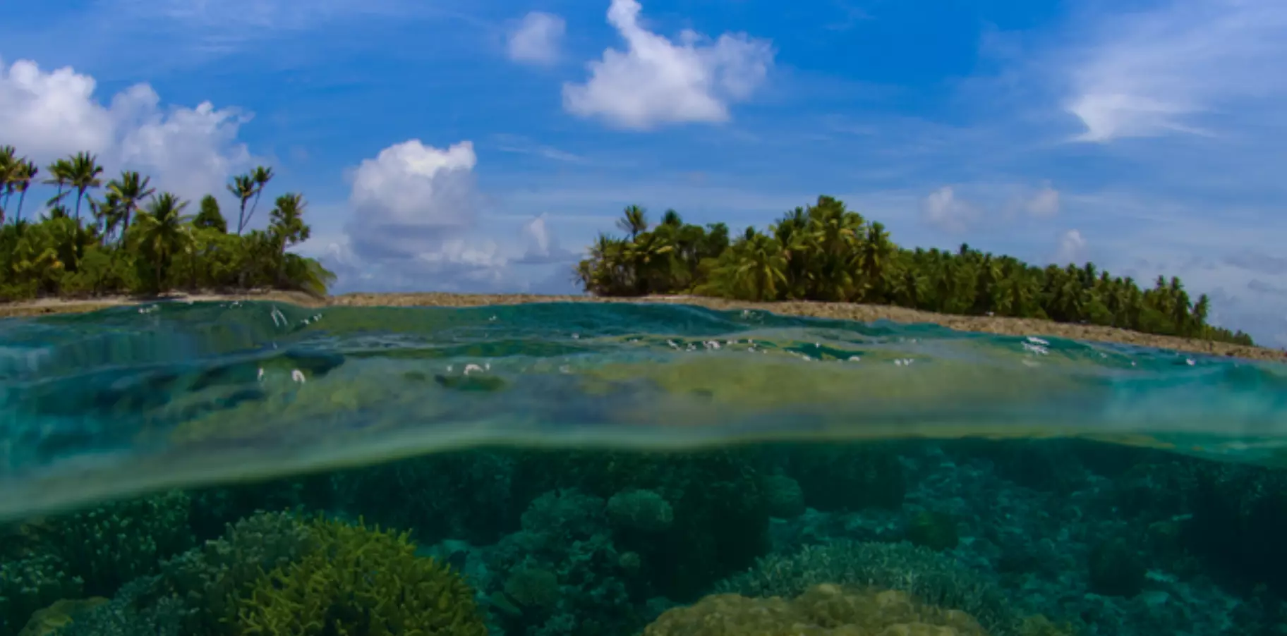 Tanperati nan Lafrik ak Mwayen Oryan an ap monte a 60 ° C nan 20 ane