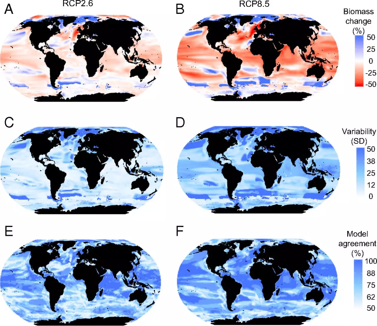 O aquecimento global reduzirá a biomassa marinha em 17% até 2100 49723_1