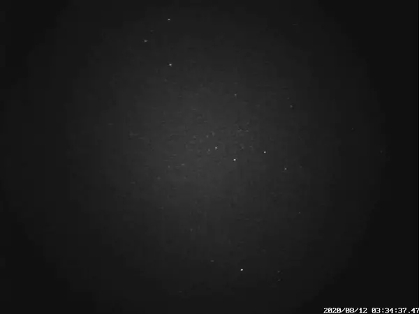 Ara d-doċċa tal-meteor tal-Perseids maqbuda minn kamera tal-viżjoni bil-lejl 51126_1