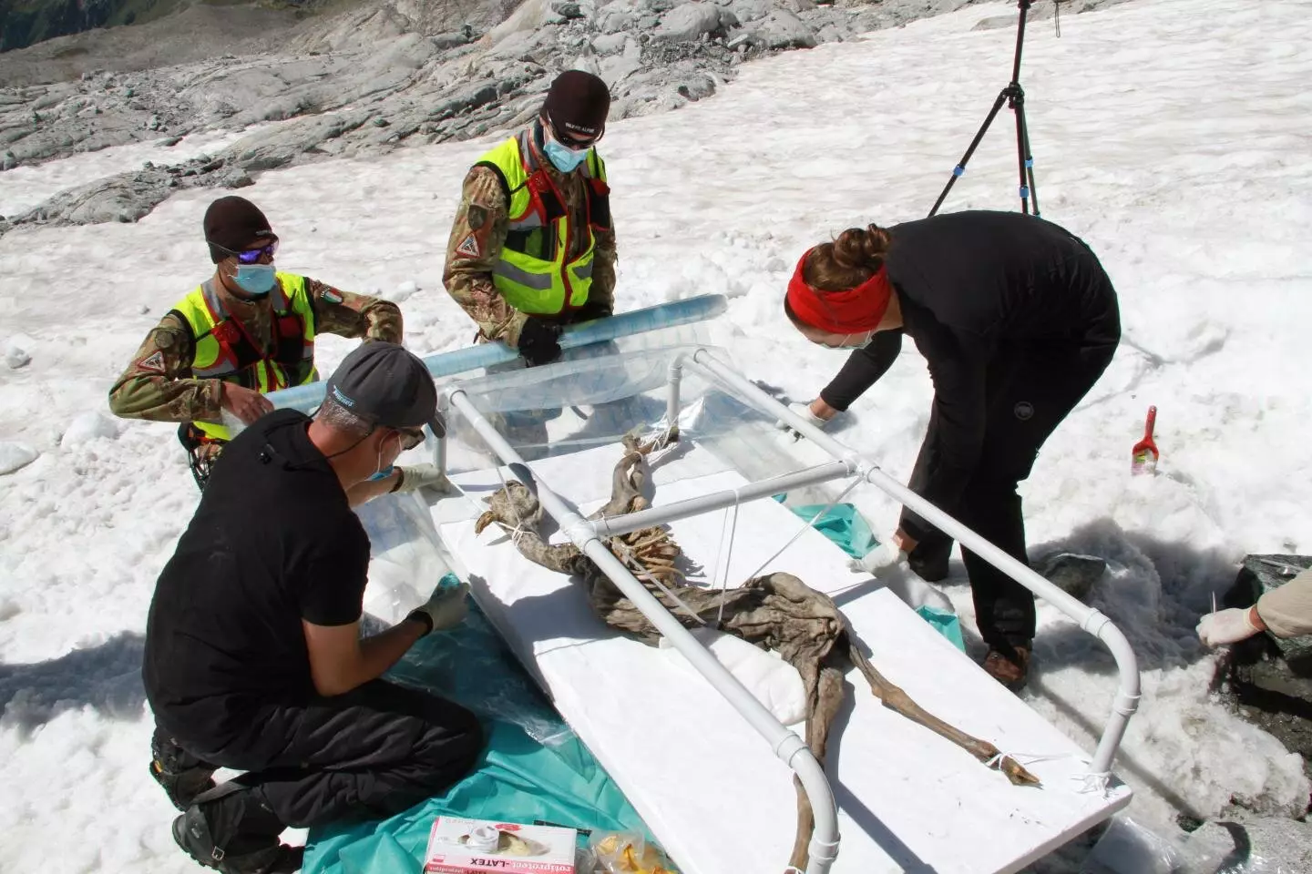 Thaispeáin eolaithe mummy oighir 400 bliain d’aois ar antalóp sléibhe. Cuideoidh a DNA leis an eolaíocht 51527_1