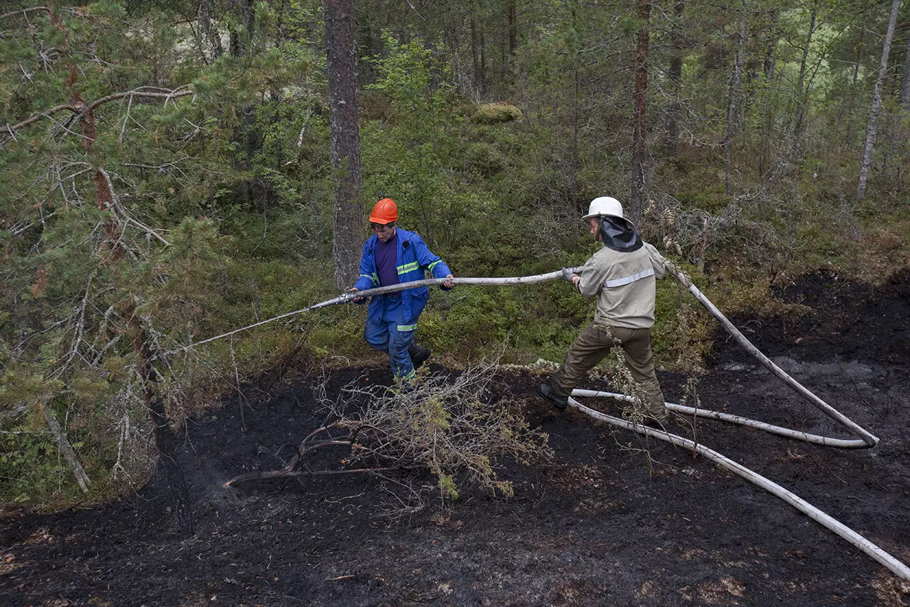 Incendi boschivi in ​​Russia: come i volontari creano mappe satellitari con punti termici, combattono gli incendi di torba ed educano le persone 52354_5