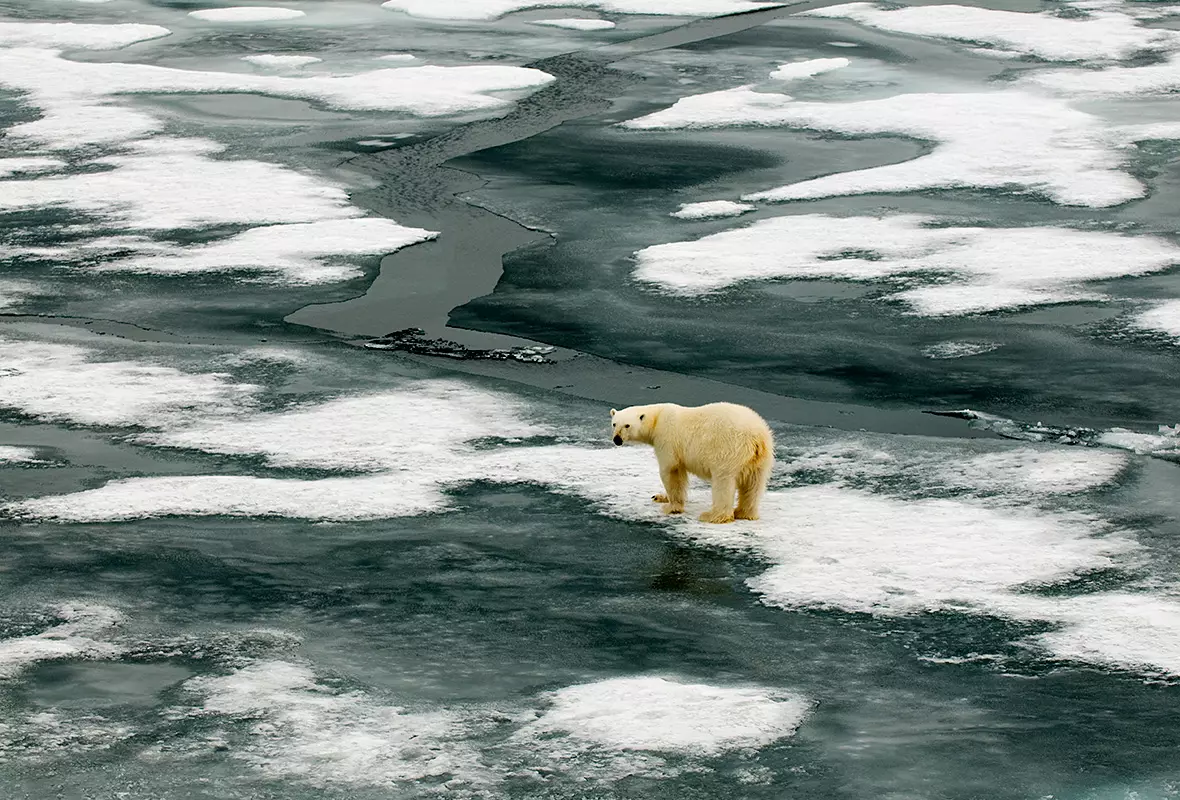 Nick Bostrom nombró a DeepMind líder en la carrera de IA 54593_2