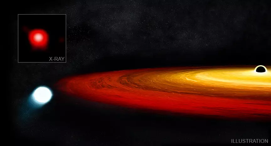 Shkencëtarët kanë gjetur një yll që ka përjetuar një takim me një vrimë të zezë. Por ajo ende nuk do të mbijetojë