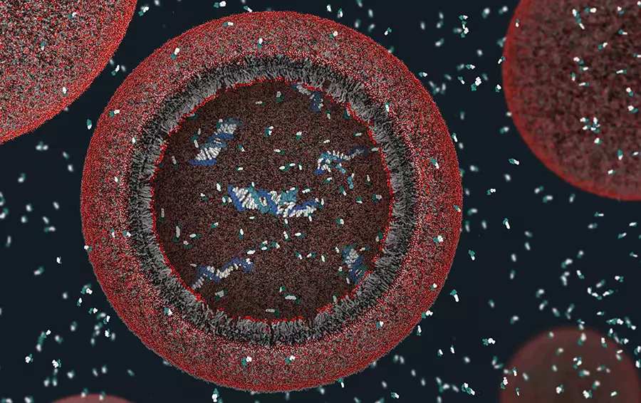 Ku USA, kuletsa kupititsa patsogolo ma virus kumachotsedwa 55391_1