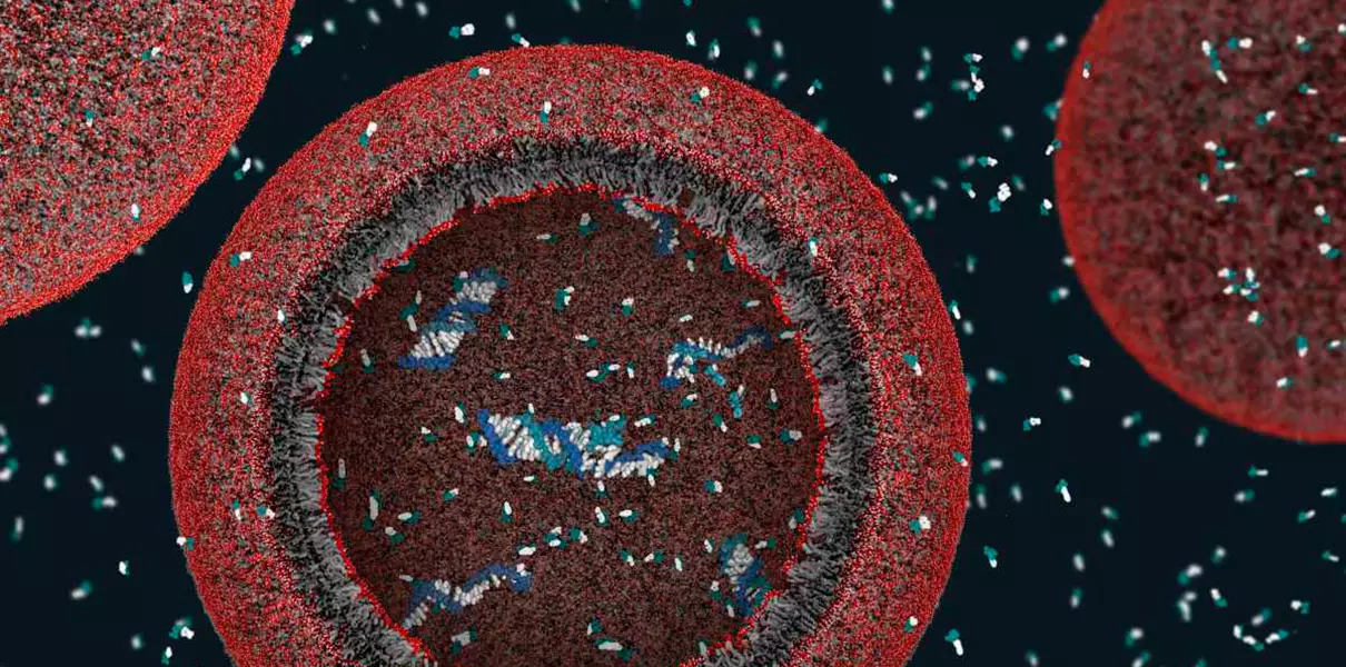 La vida en Marte podría haber evolucionado durante 700 millones de años 56600_2