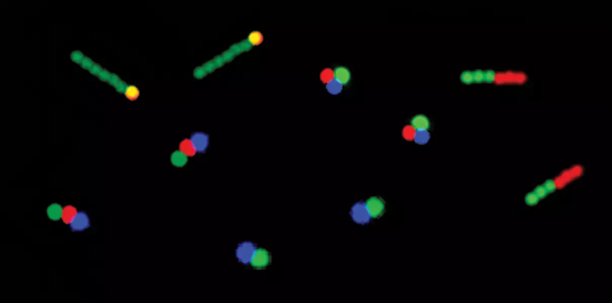 Хемичарите ја мерат оптичката активност на молекулите на огледалото 57562_1