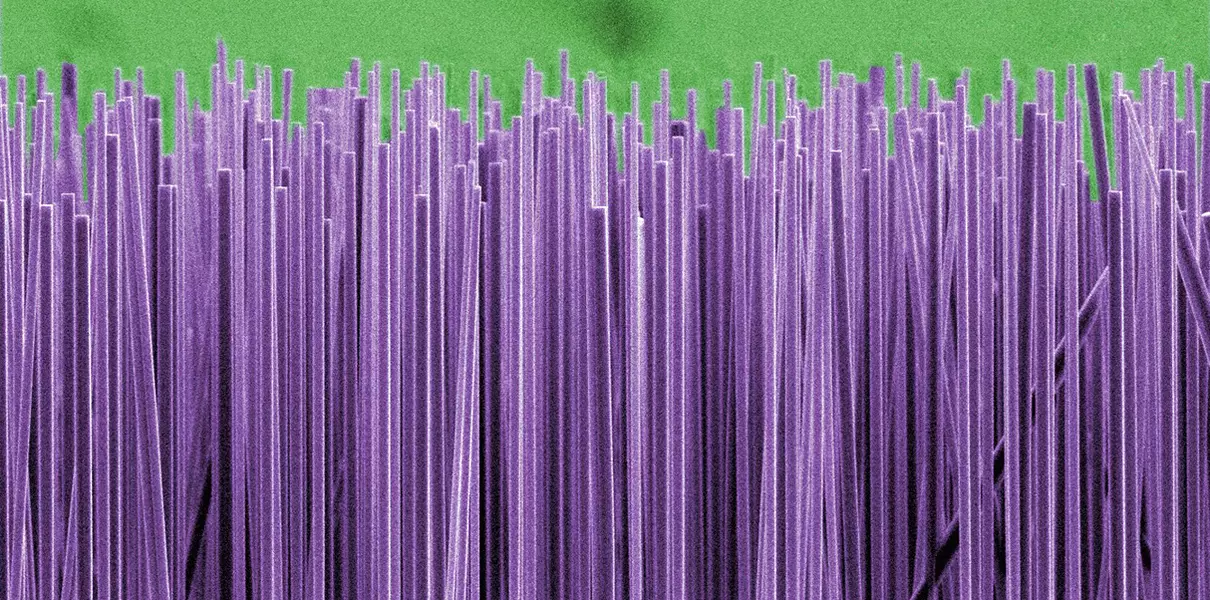 Cientistas descobriram uma maneira de purificar nanotubos de carbono 58063_1