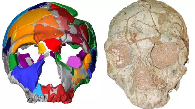 En Grèce, les restes de l'homme le plus ancien hors d'Afrique ont été découverts. Il a vécu il y a 210 000 ans ! 59502_1