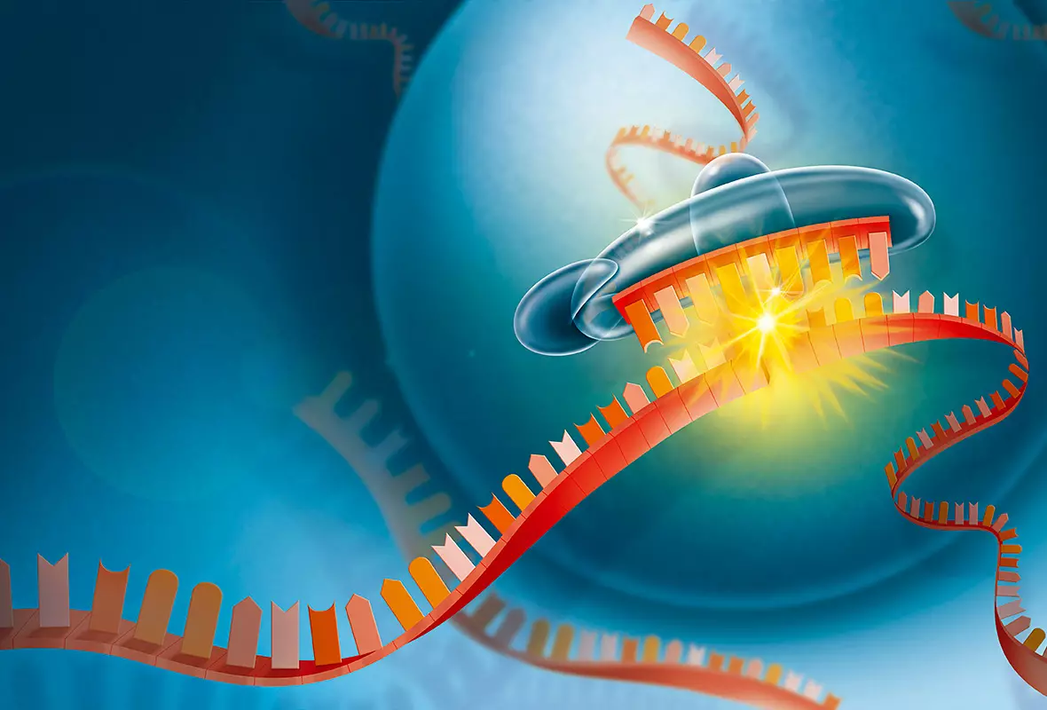 Genetikuloj lernis konservi memorojn en homa DNA 60765_1