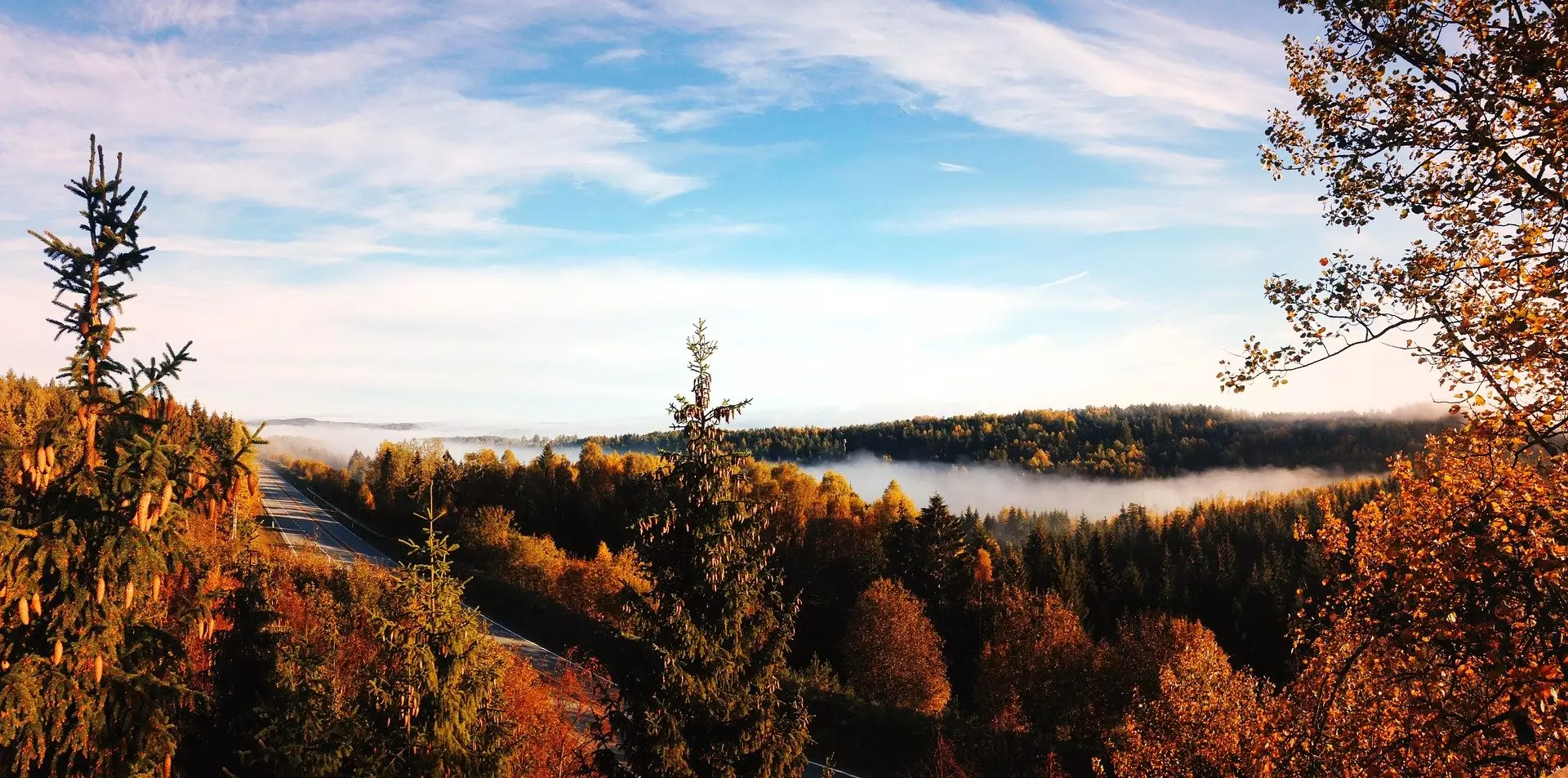 Marse atrasta „radiacijos prieglauda“ mikrobų gyvybei