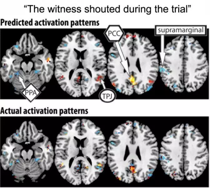 AI can “read minds” with brain scans 62753_1