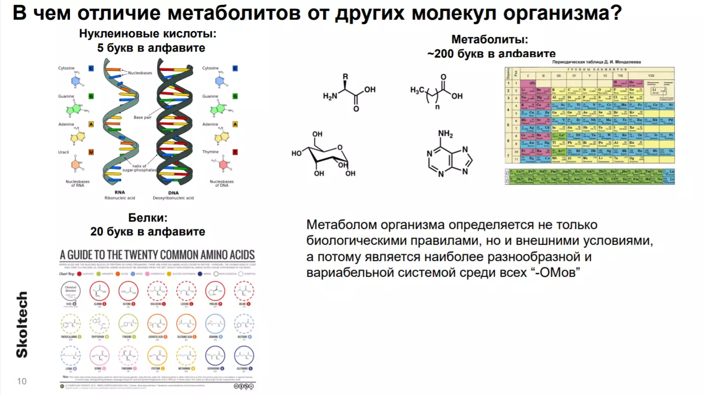 Sergey Osipenko, Skoltech: sobre metabolitos, método de sangre seca y detección de niños 65_3