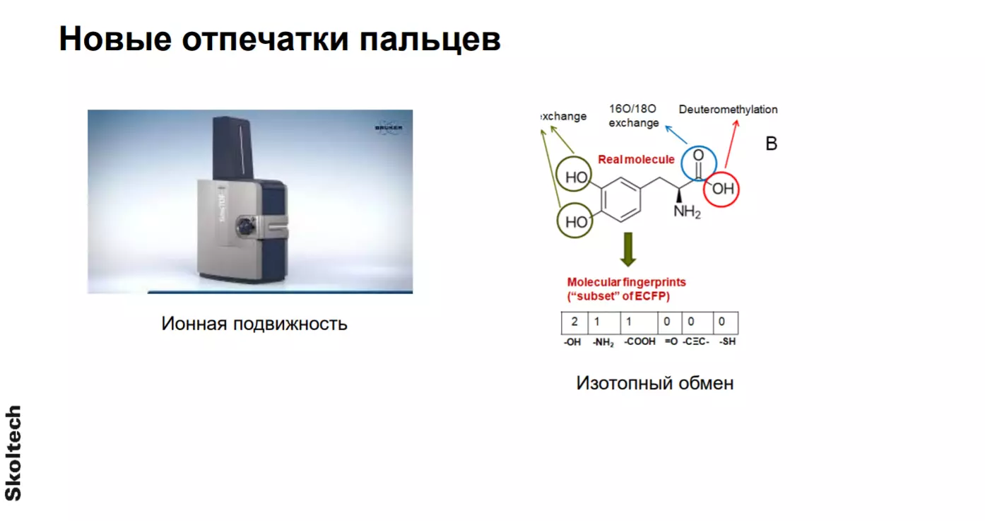 Sergey Osipenko, Skoltech - ka metabolites, mokhoa o omileng oa mali le ho hlahloba bana 65_5