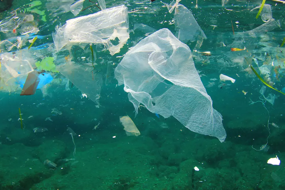 Ang mga siyentista ay lumikha ng isang bagong uri ng plastik. Nabulok ito sa tubig sa loob ng ilang minuto 67168_1