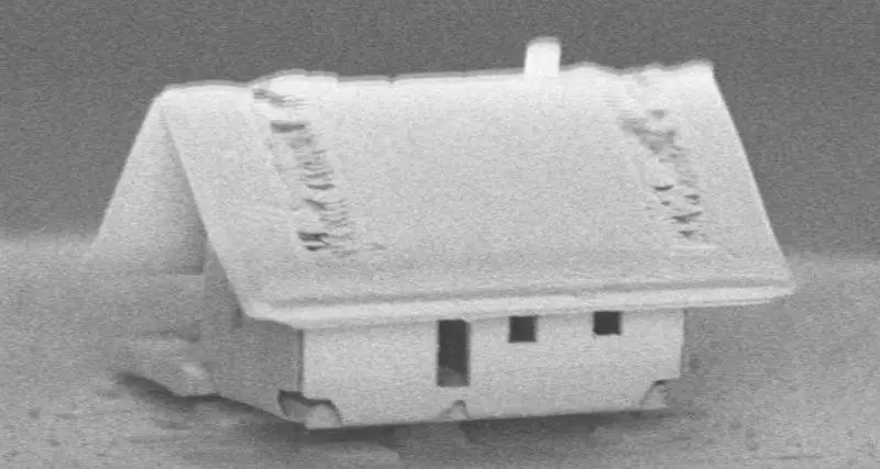 روبات ها کوچکترین خانه جهان را ساخته اند - تقریباً به اندازه نوک مو 71110_2