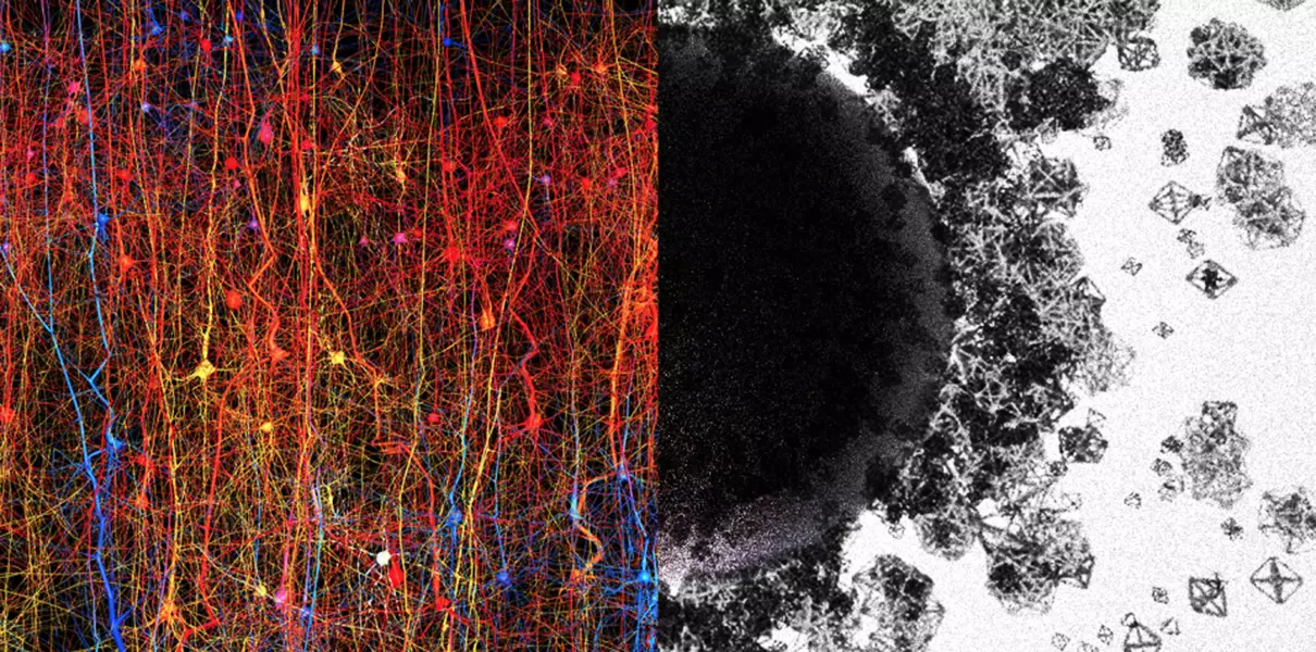 L'intelligenza artificiale insegnerà a cercare luoghi di lavoro forzato su immagini dallo spazio 71377_1